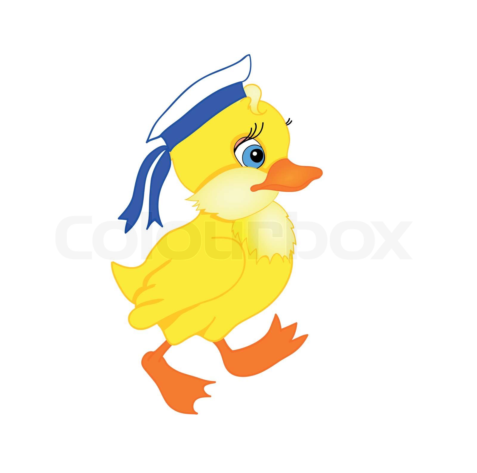 cartoon, ente, niedlich | Stock-Vektor | Colourbox