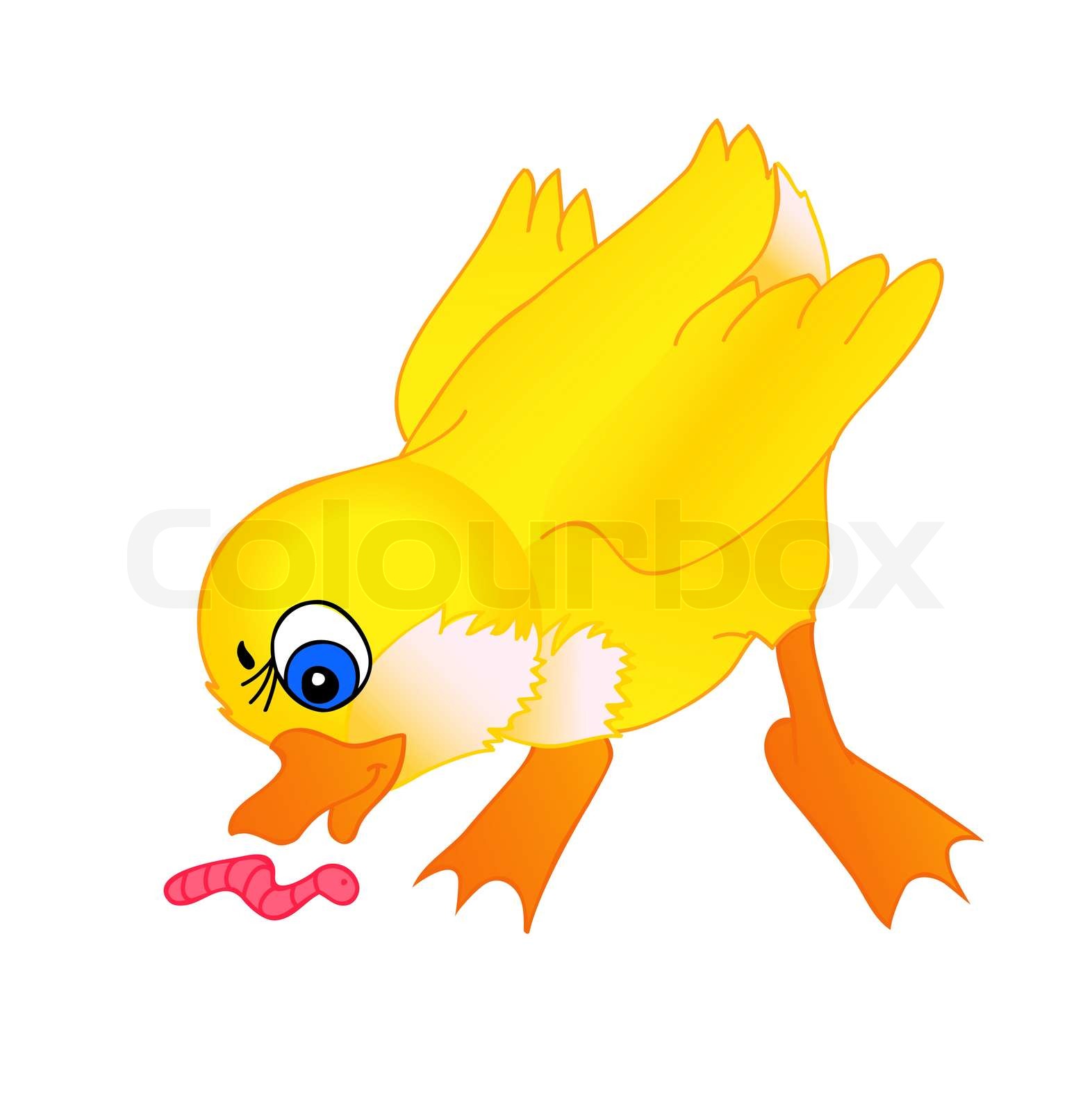 kleine Ente cartoon | Stock-Vektor | Colourbox