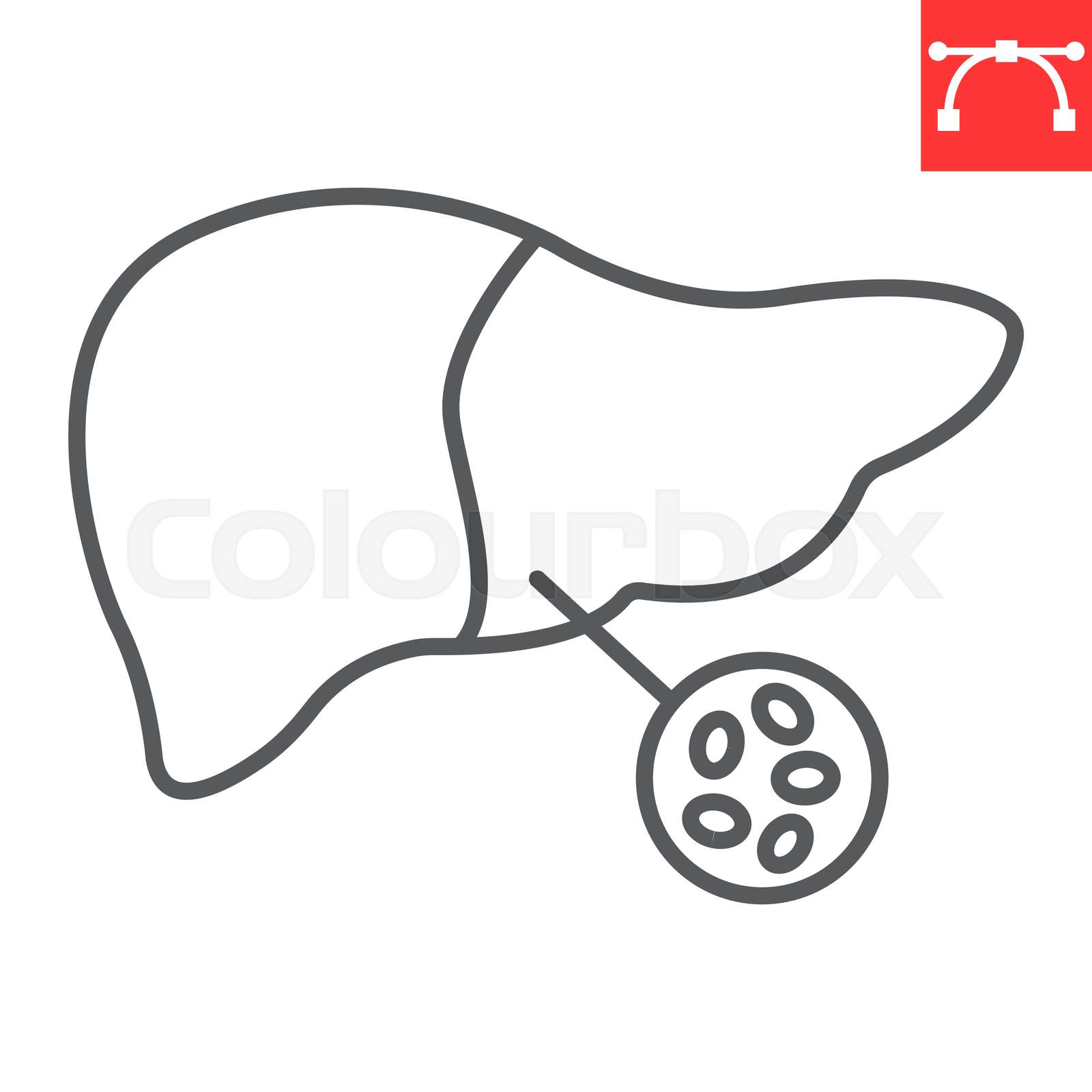 Fatty liver line icon | Stock vector | Colourbox