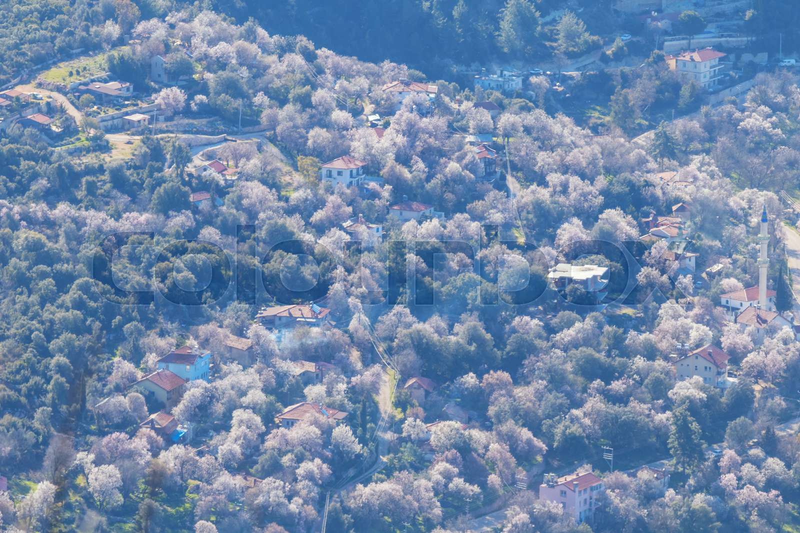 Spring in village | Stock image | Colourbox