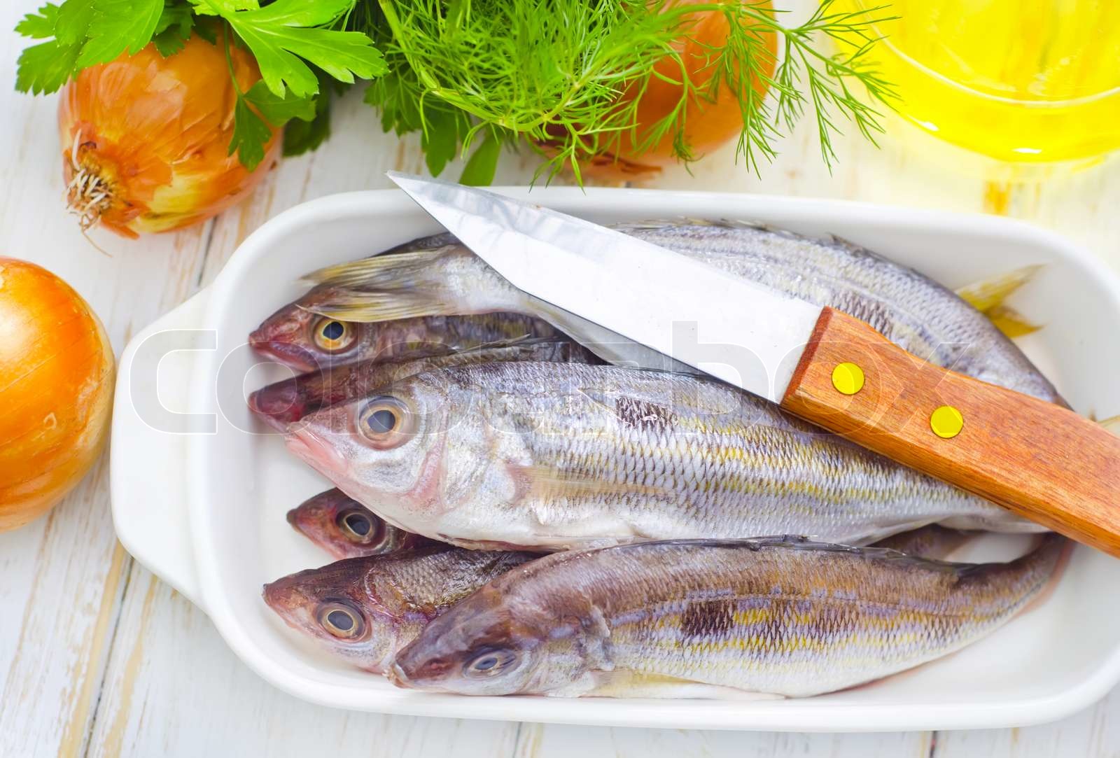 frischer Fisch | Stock Bild | Colourbox