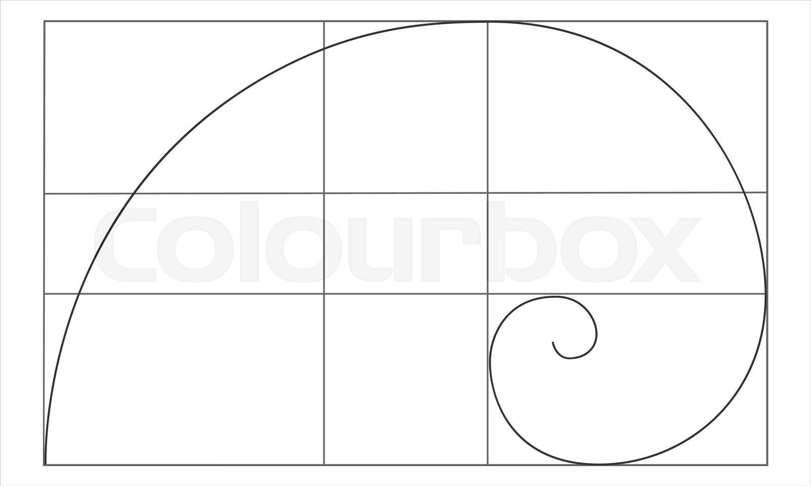 Fibonacci Sequence Shell Spiral