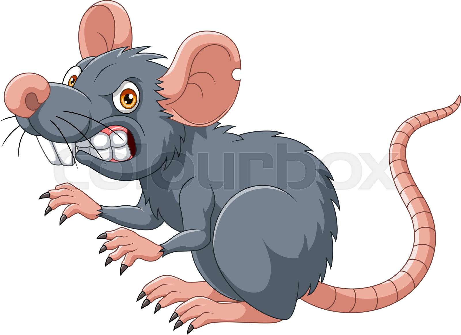 Cartoon rat with angry expression | Stock vector | Colourbox