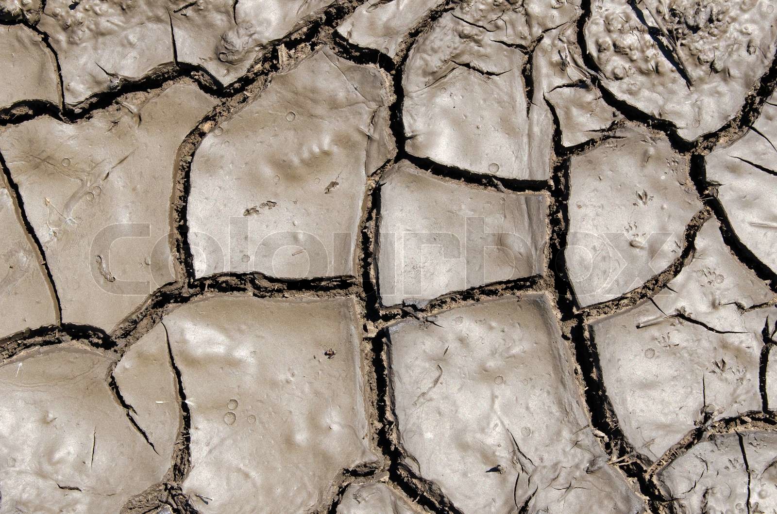 nasse Erde als Textur | Stock Bild | Colourbox