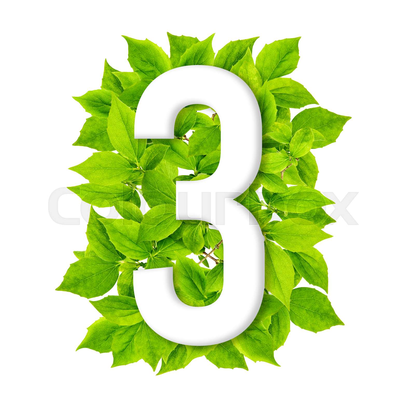 Number three green leaves background. Creative nature concept | Stock ...