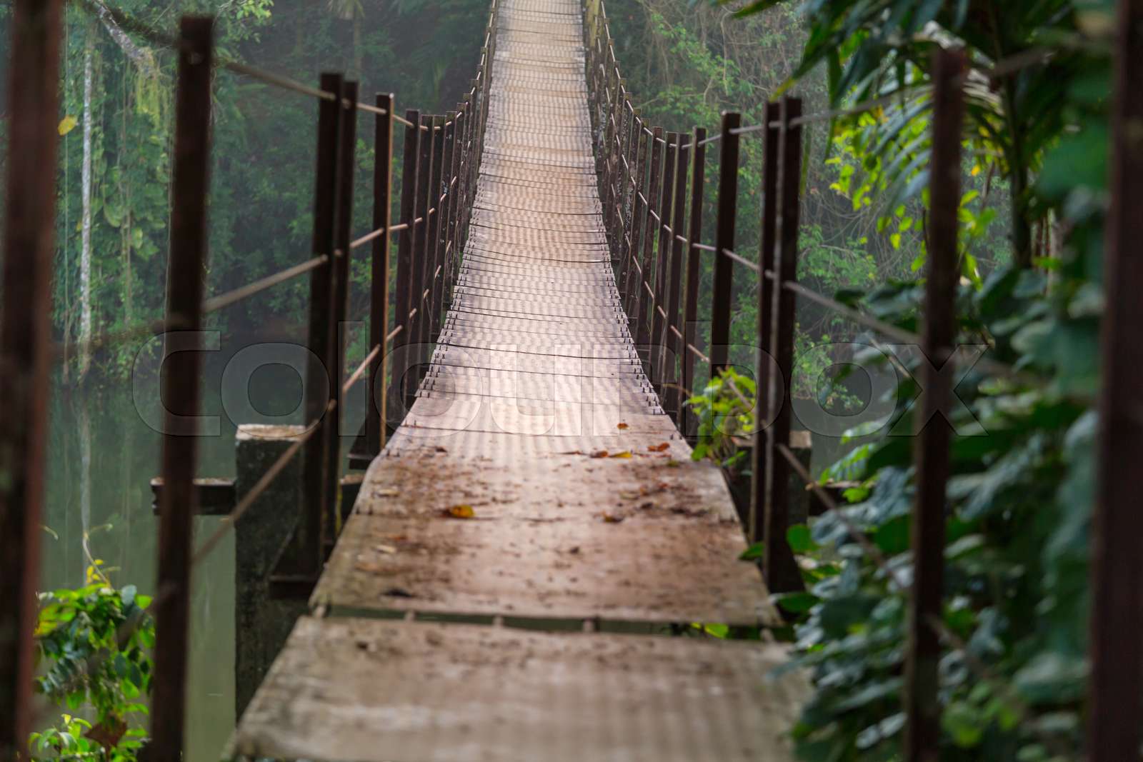 Hanging bridge | Stock image | Colourbox