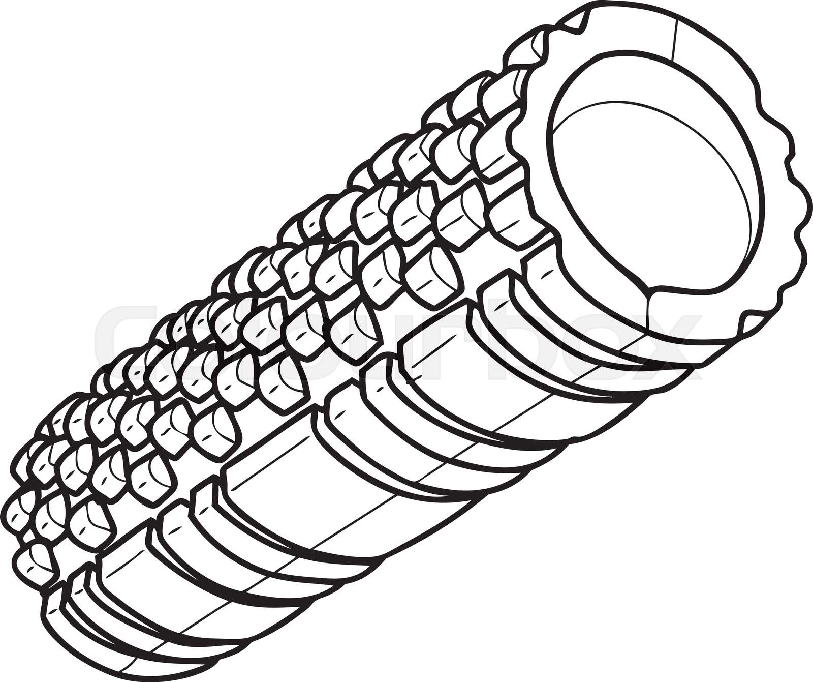Foam Roller | Stock vector | Colourbox