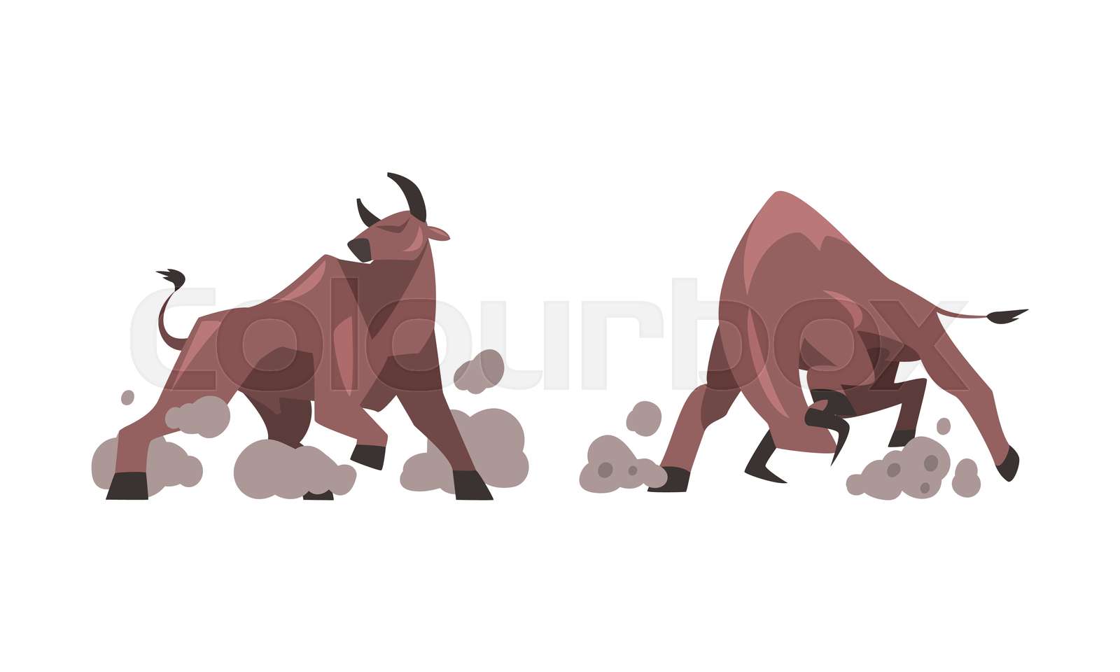 Aggressive furious muscle bulls attacking cartoon vector illustration ...