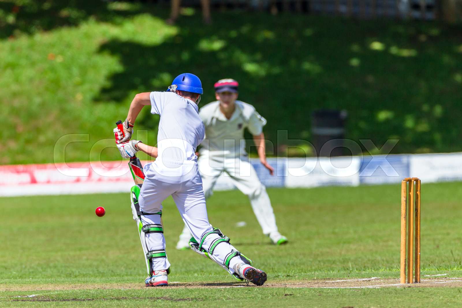Cricket Batsman Plays Ball Fielder Action | Stock image | Colourbox