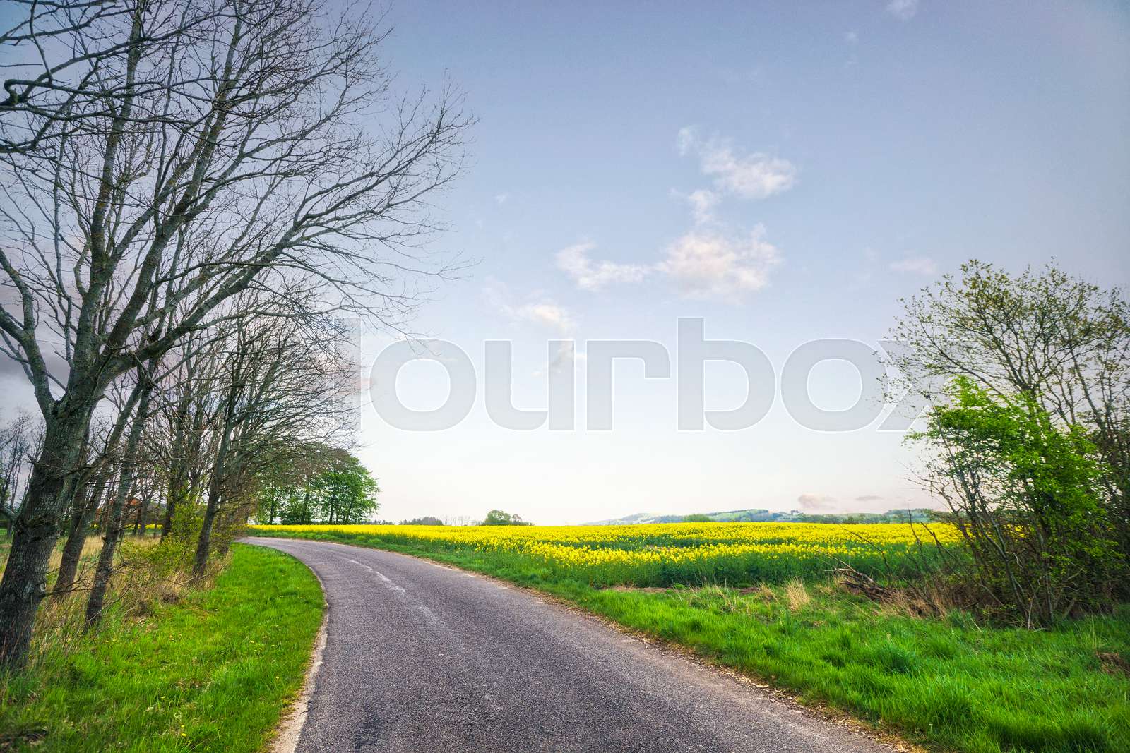 Asphalt road in a countryside landscape | Stock image | Colourbox