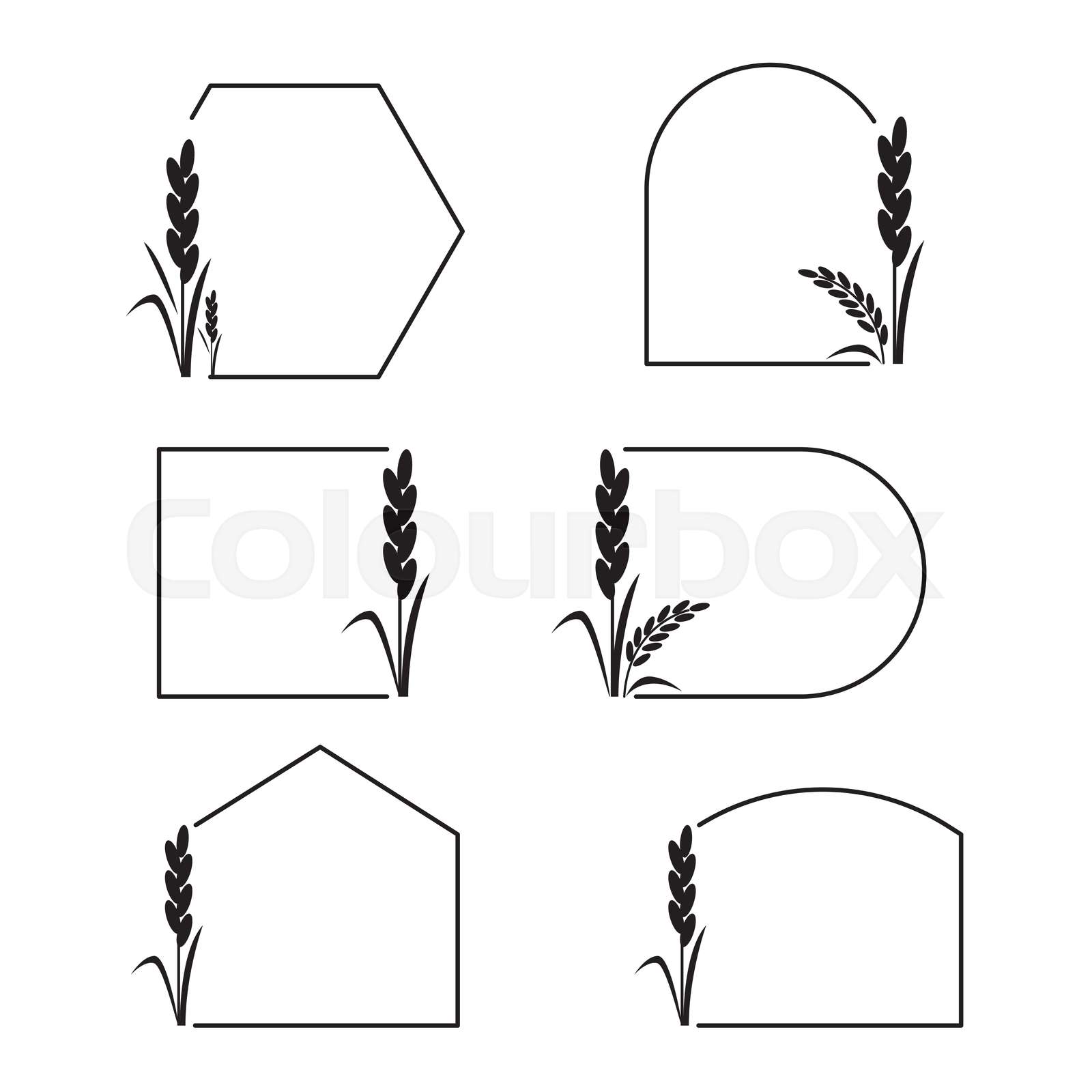 rice frame | Stock vector | Colourbox