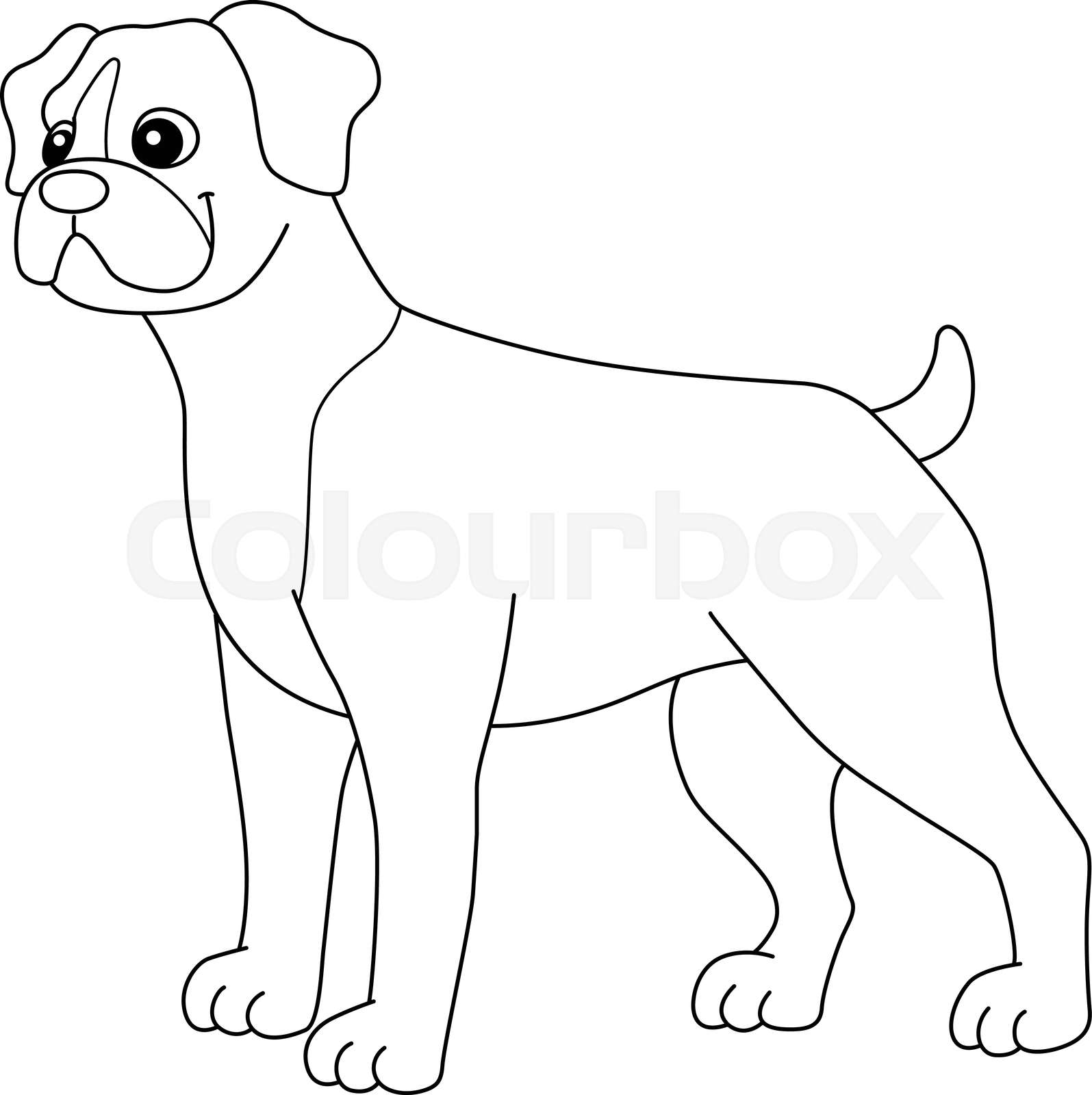 Boxer Dog Line Drawing