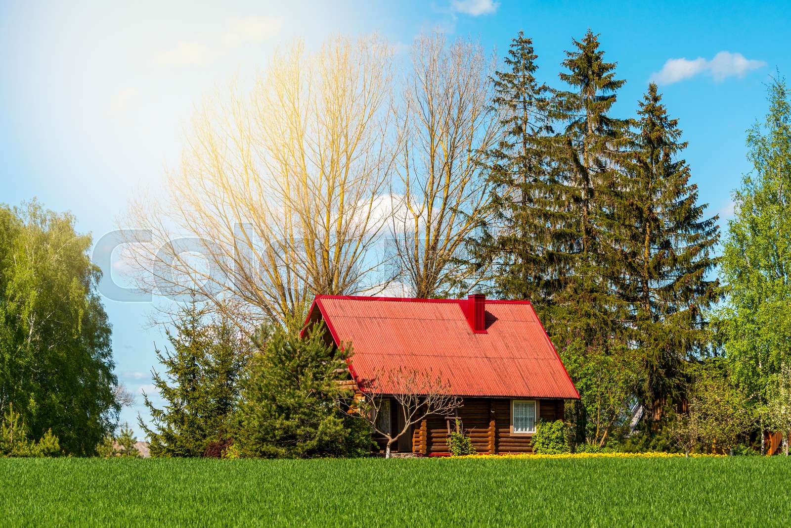 Countryside cozy little cabin in a rural area | Stock image | Colourbox
