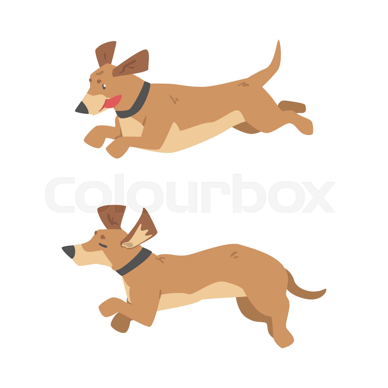 Running Dog Vector