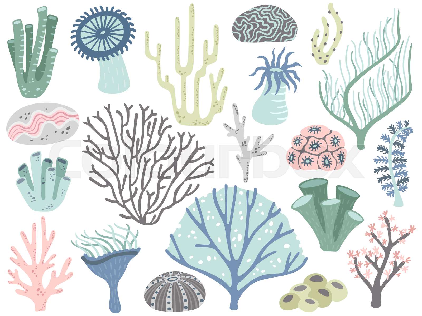 Ocean Coral Drawing