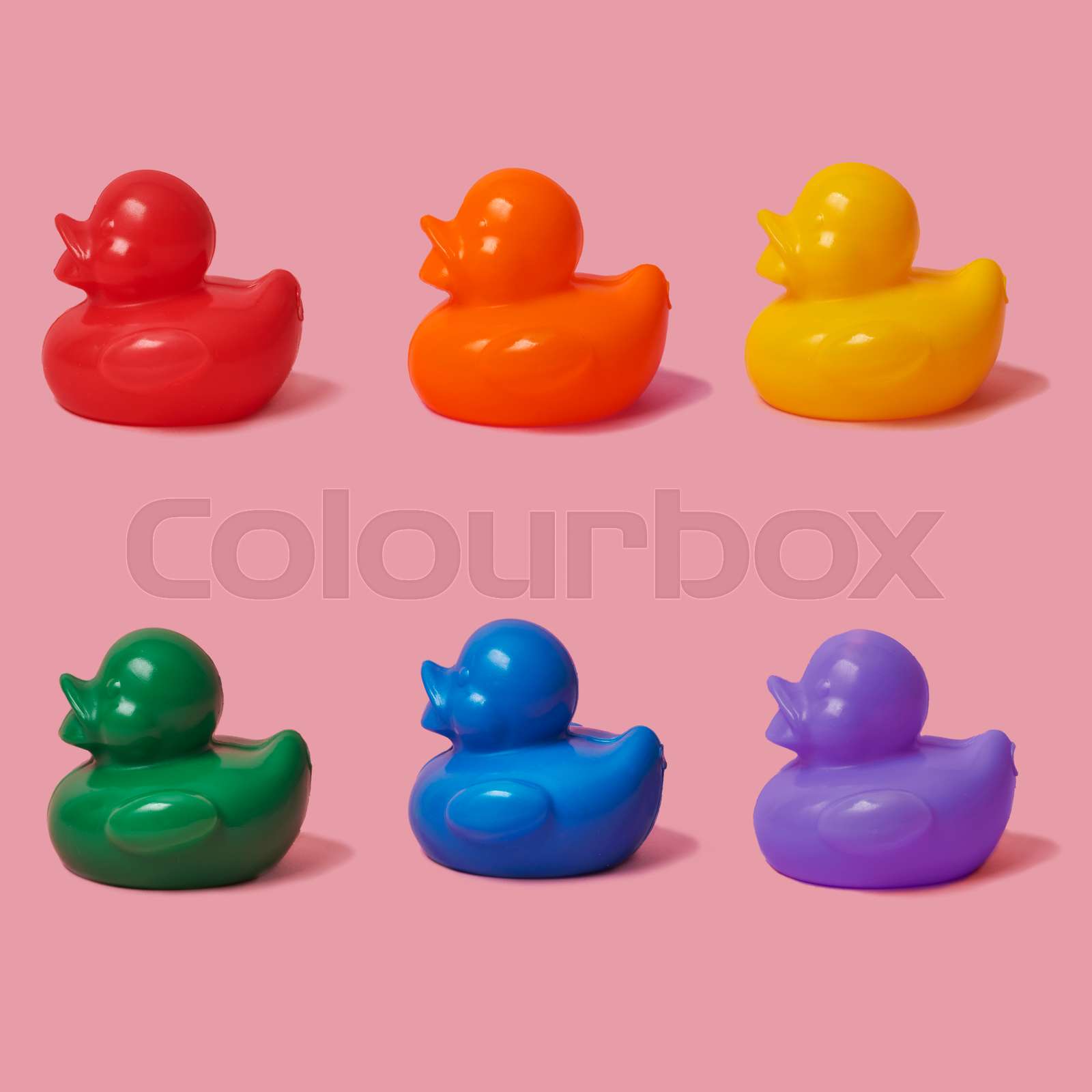 rubber ducks with the colors of the rainbow flag | Stock image | Colourbox