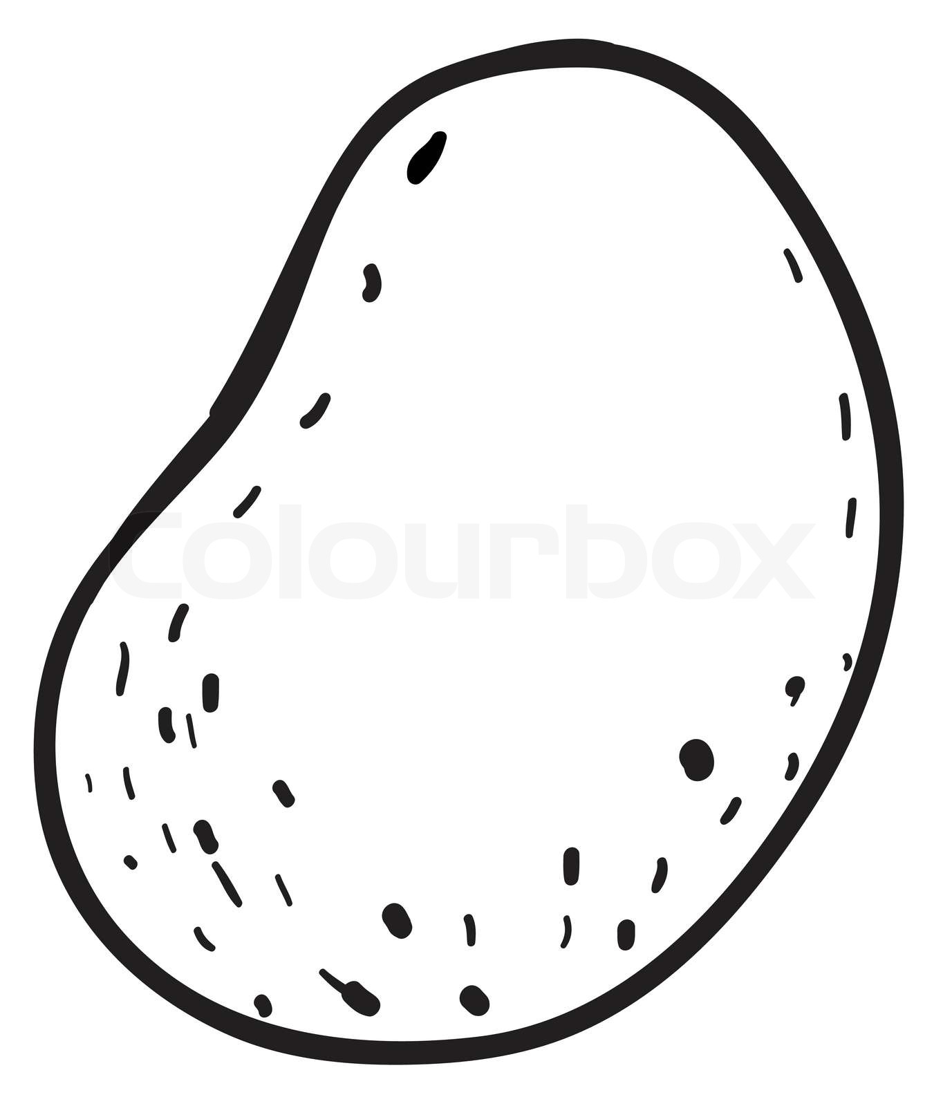 sketch of a potato | Stock vector | Colourbox