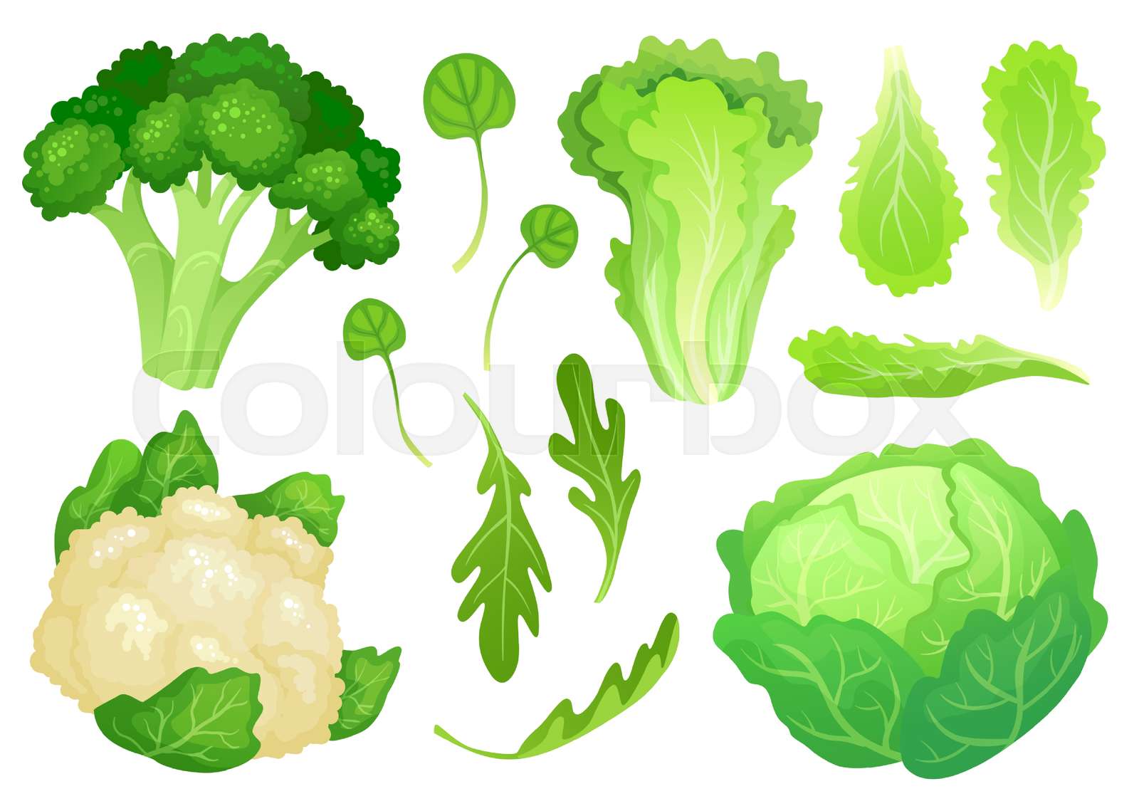 Green Leafy Vegetables Clipart