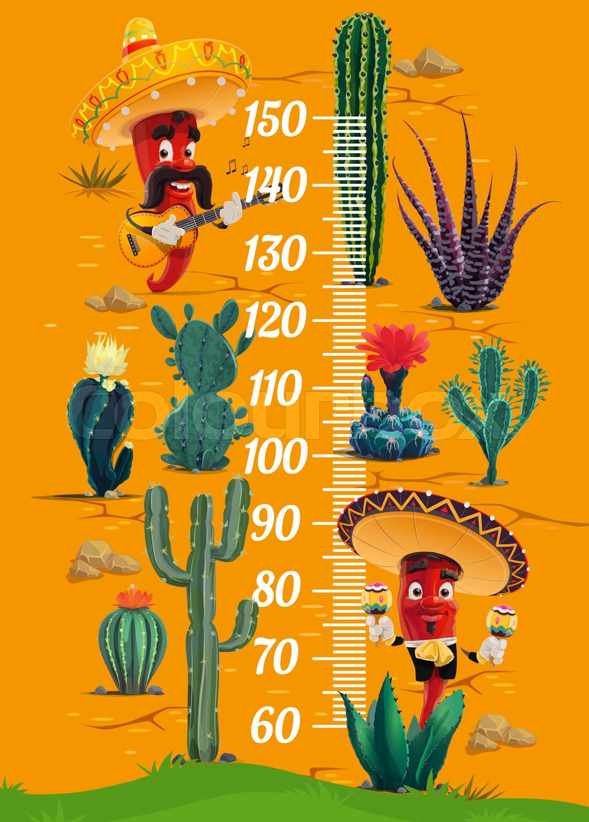 Kids height chart with mexican cactuses, peppers | Stock vector | Colourbox