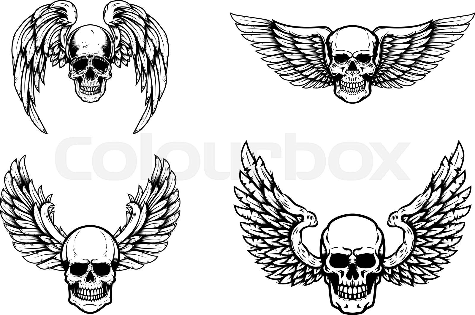 Set of winged human skull isolated on white. Design element for logo ...