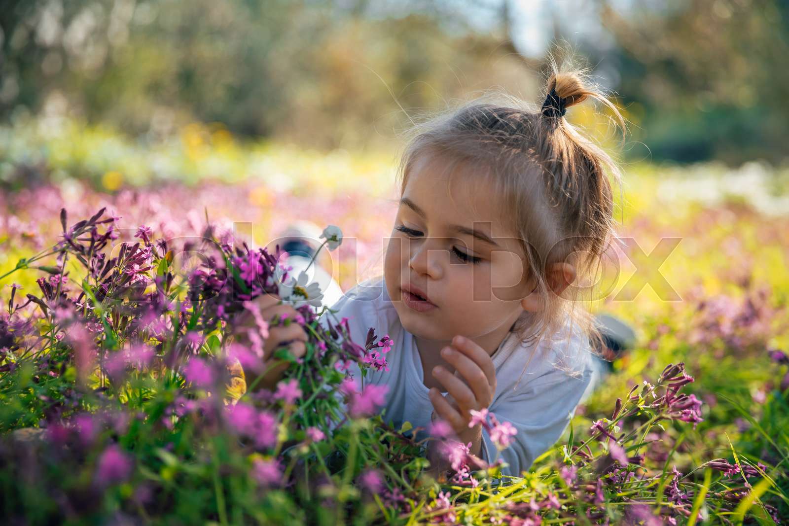 Happy Child on Flowers Field | Stock image | Colourbox