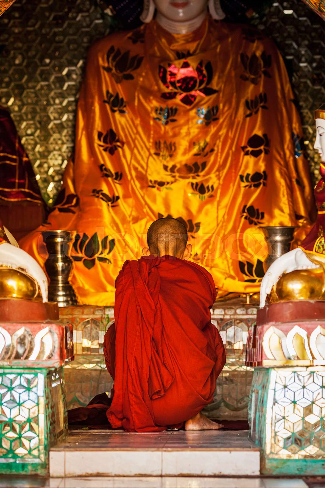 Buddhist monk praying in Shwedagon pagoda | Stock image | Colourbox