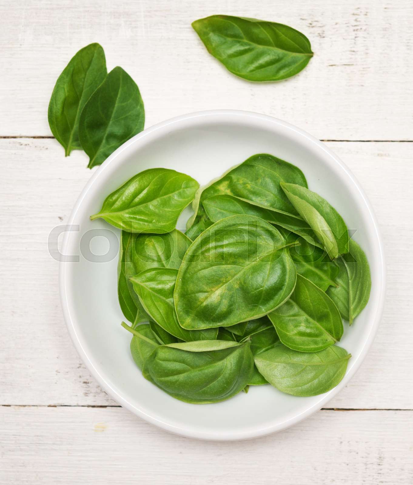 Basil in bowl | Stock image | Colourbox