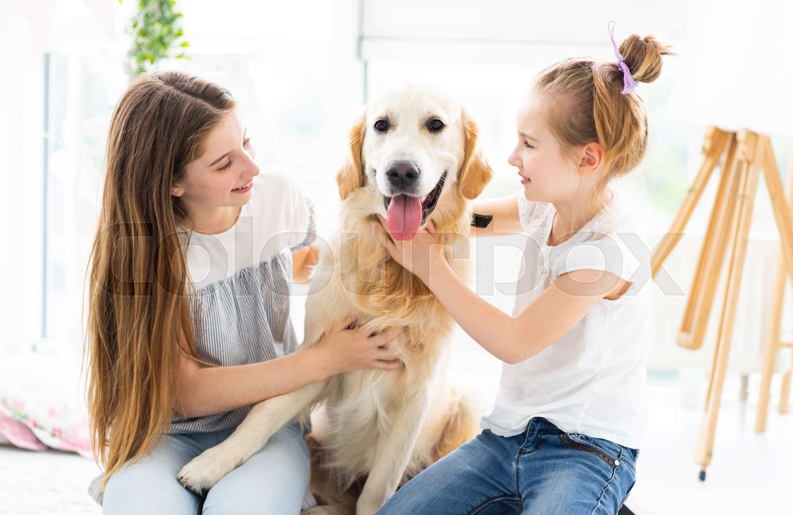 Cute sisters fooling with dog | Stock image | Colourbox