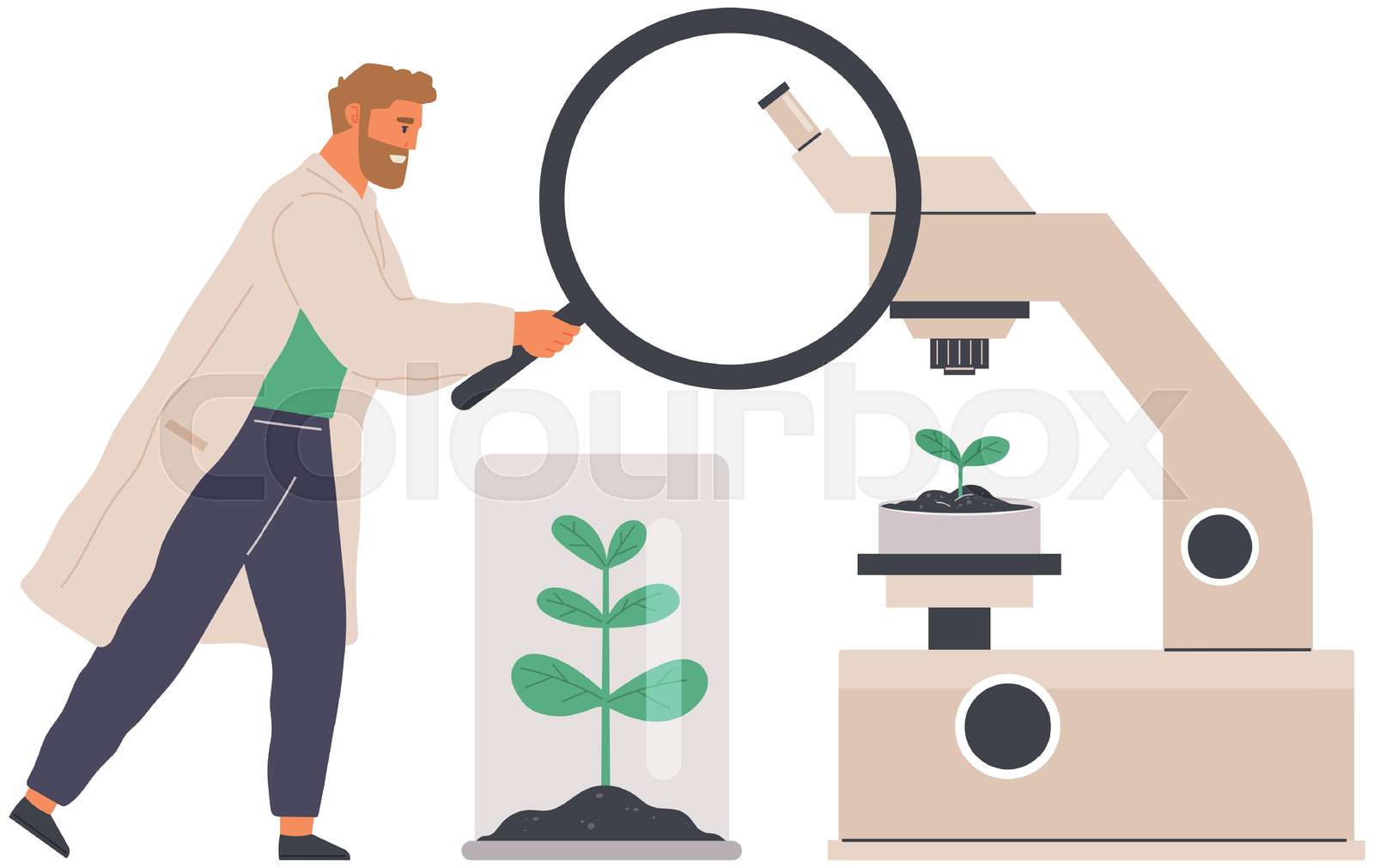 Biologist studies plant cell with microscope. Biological research with ...