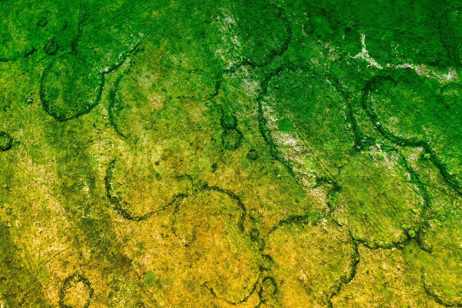 Green fields from above | Stock image | Colourbox