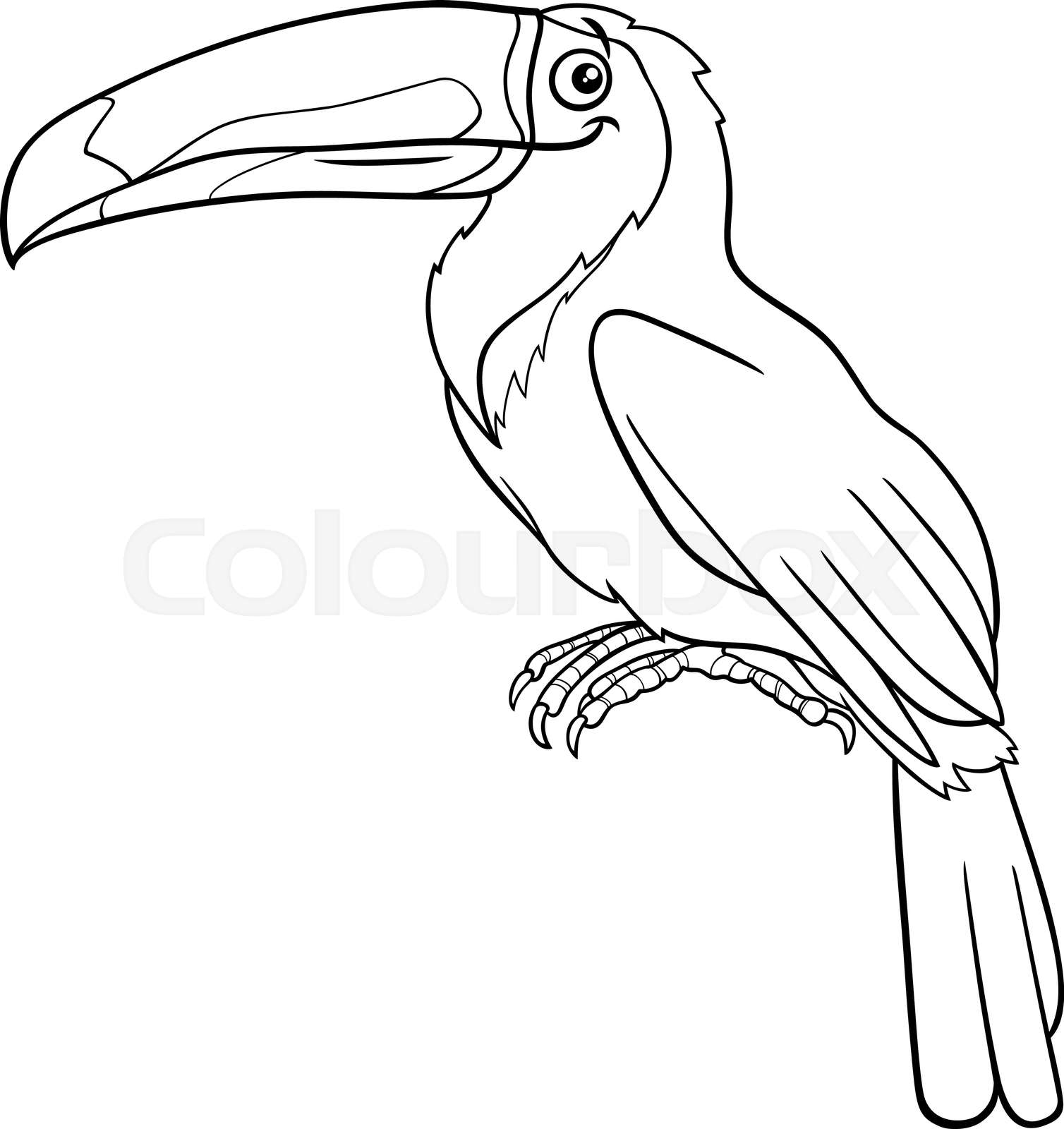 Toucans Coloring Pages