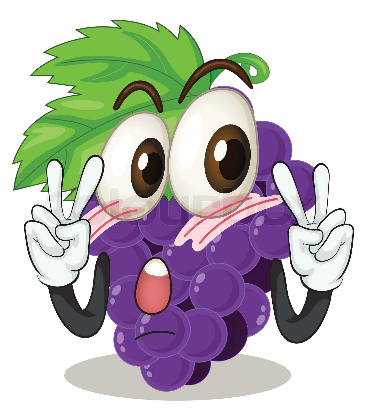 Trauben | Stock-Vektor | Colourbox