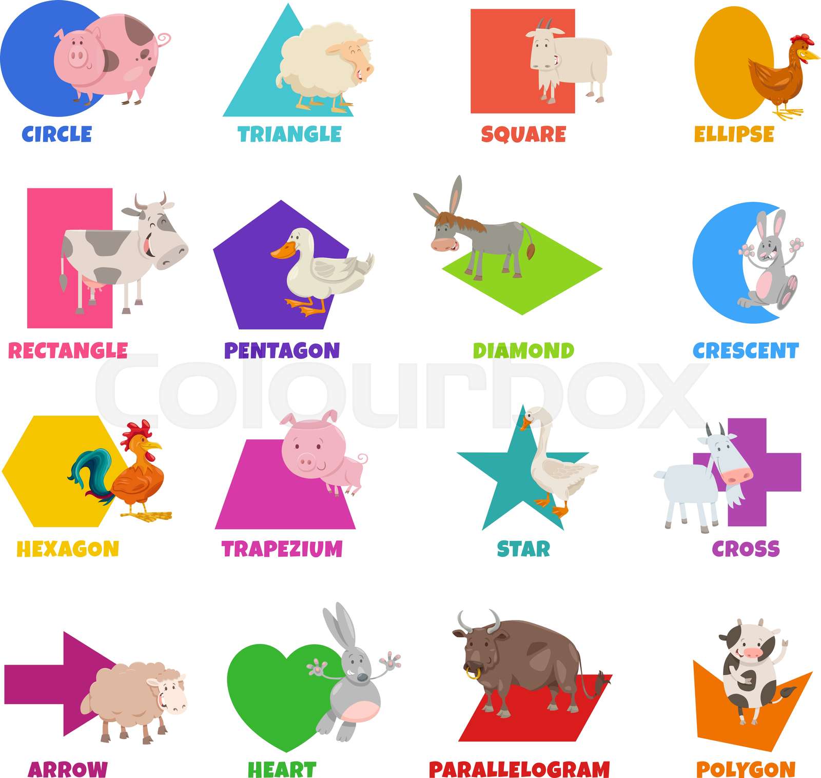Animal Geometric Shapes
