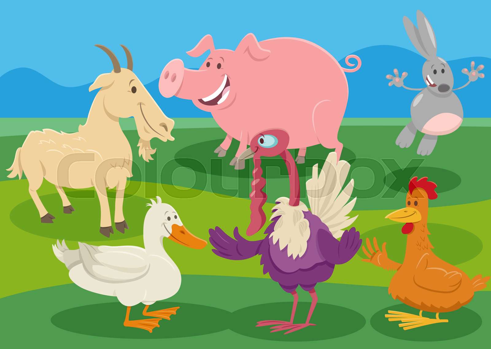 Poultry Animals Animated