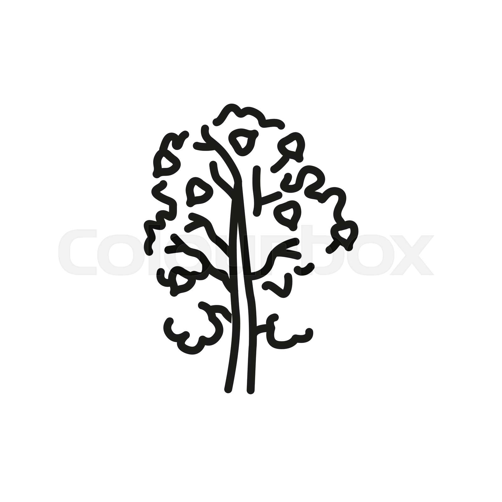 Aspen Tree Silhouette Vector