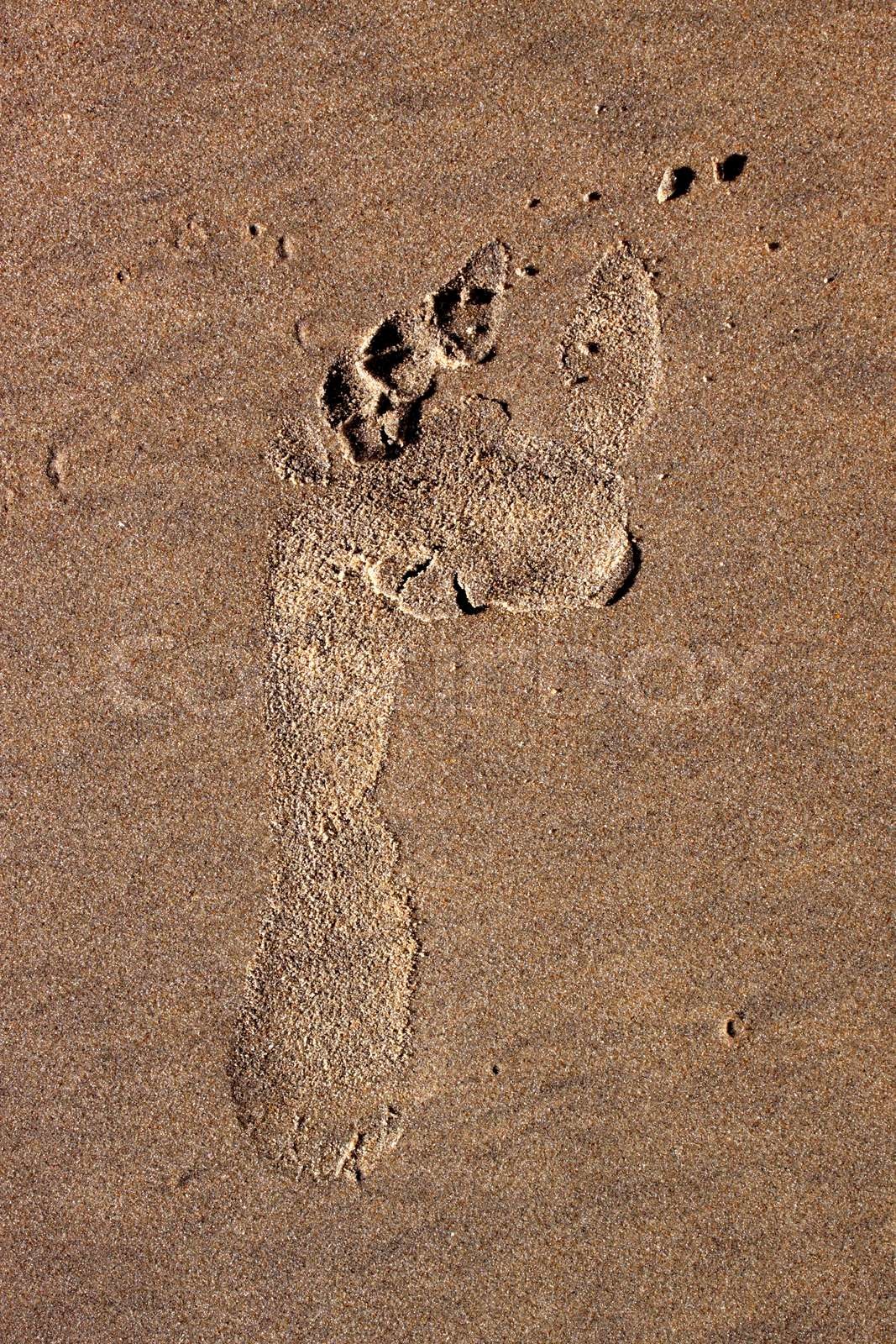 Foot mark | Stock image | Colourbox
