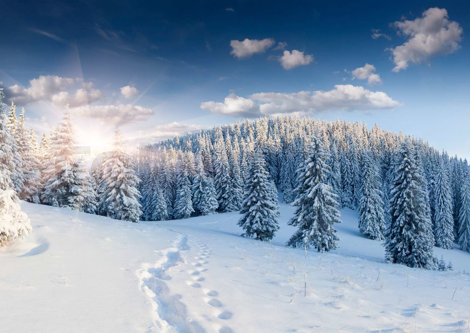 Beautiful Winter Scenery Wallpaper Hd