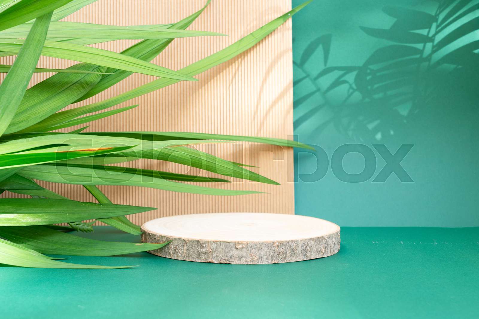 Minimal product display | Stock image | Colourbox