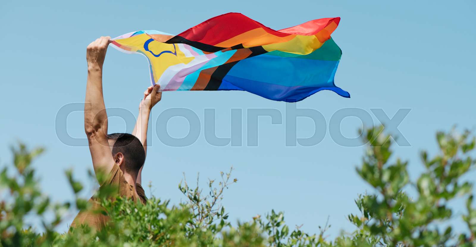 waving a progress pride flag, web banner | Stock image | Colourbox
