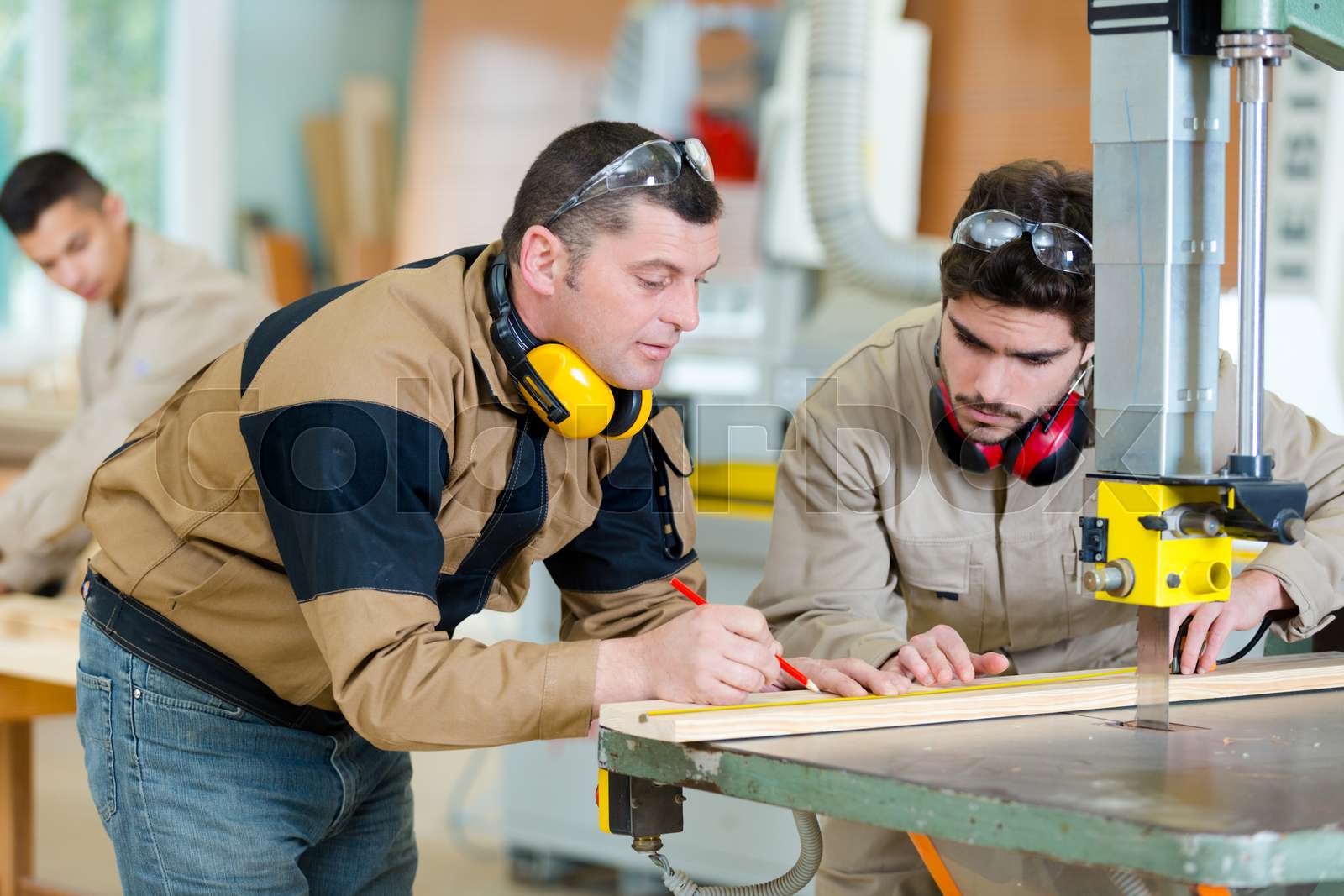 two carpenters in workshop measuring wood to saw | Stock image | Colourbox
