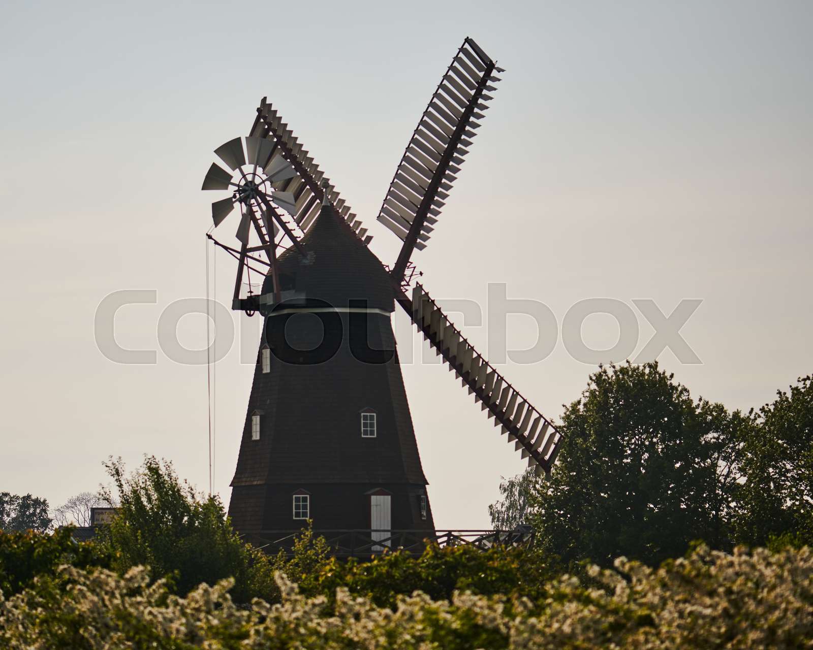 Mølle, gammeldags, landbrug, Danmark | Stock foto | Colourbox