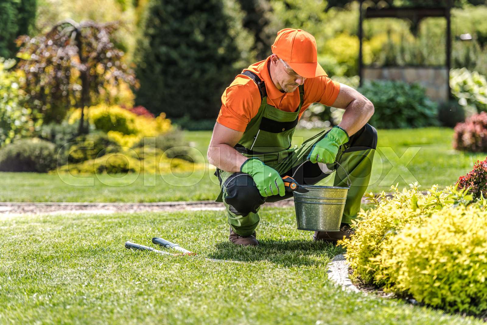 Garden Maintenance | Stock image | Colourbox