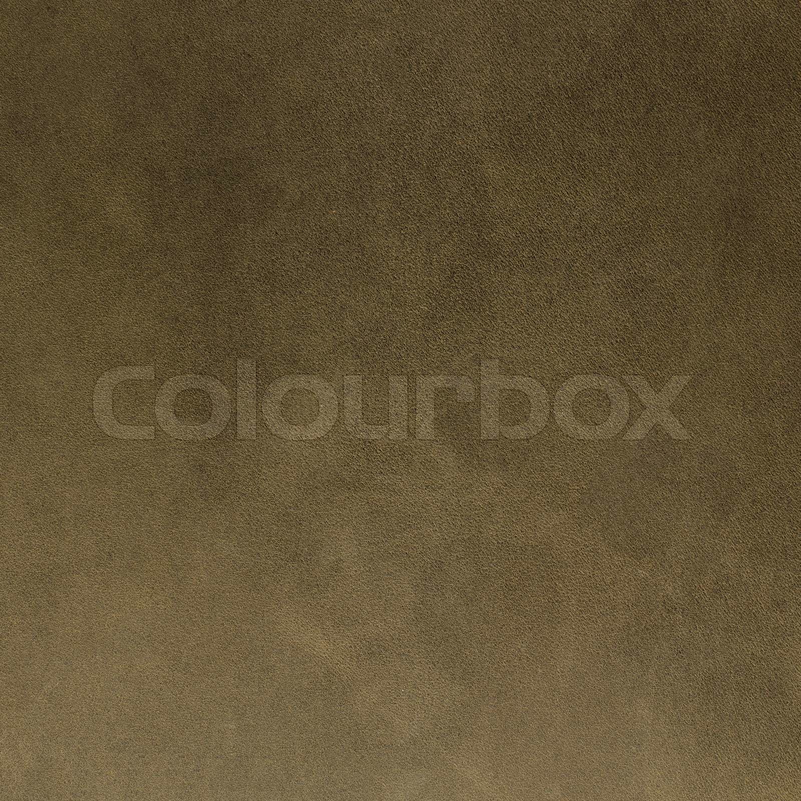 Green leather | Stock image | Colourbox