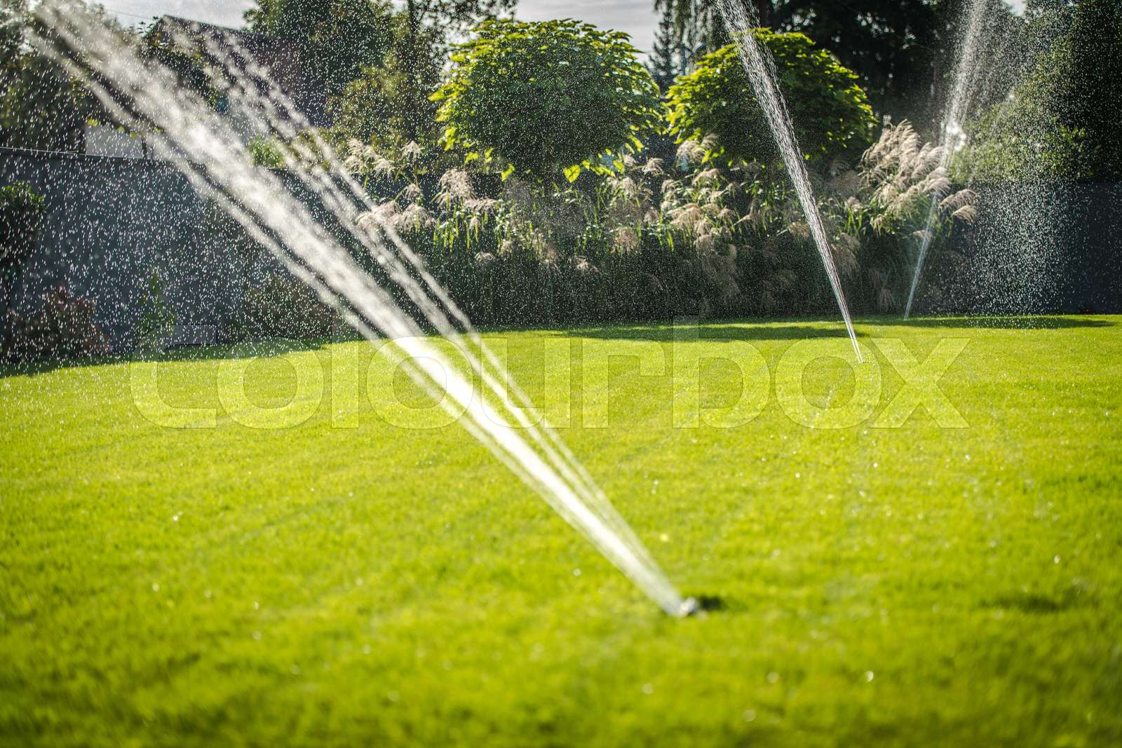Lawn Irrigation System in Operation | Stock image | Colourbox