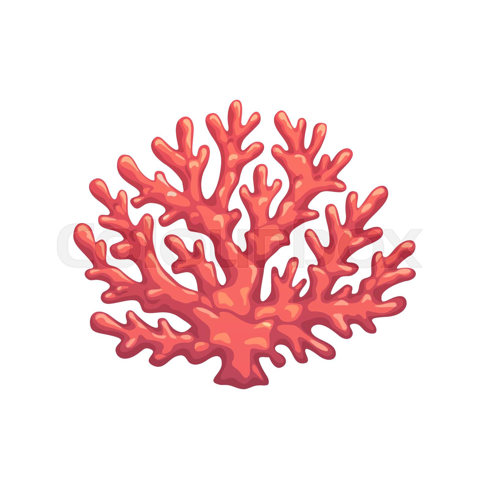 Cartoon underwater coral plant branch element | Stock vector | Colourbox
