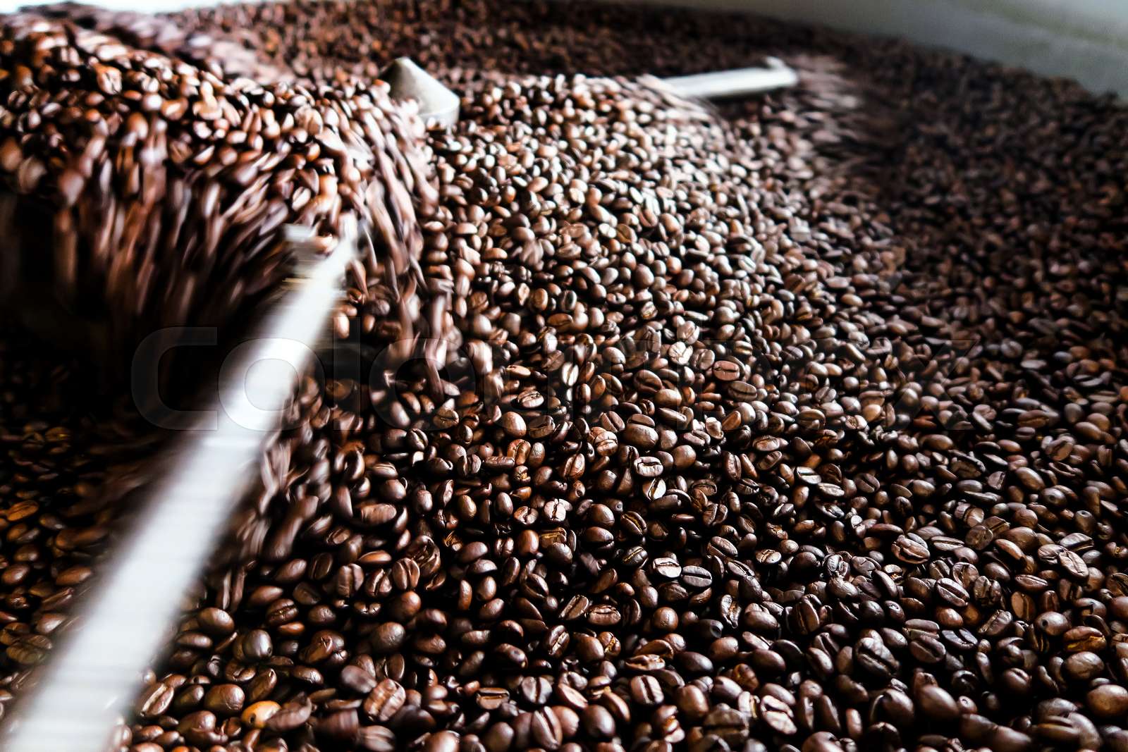 Roasting process of coffee | Stock image | Colourbox