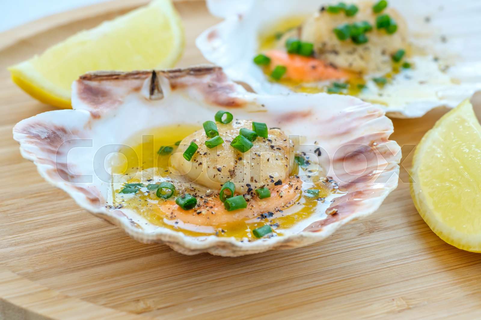 King scallop in shell | Stock image | Colourbox