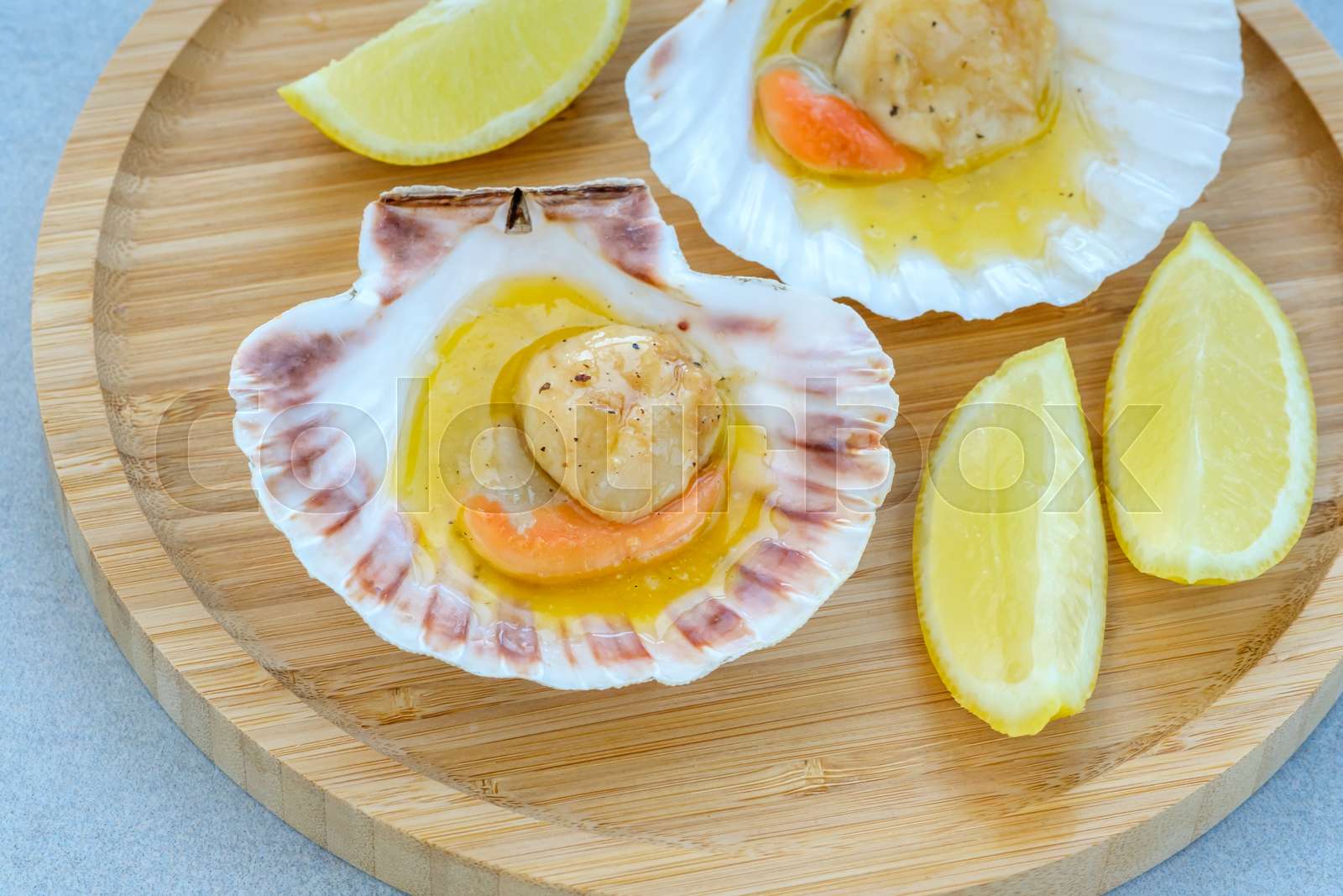 King scallop in shell | Stock image | Colourbox