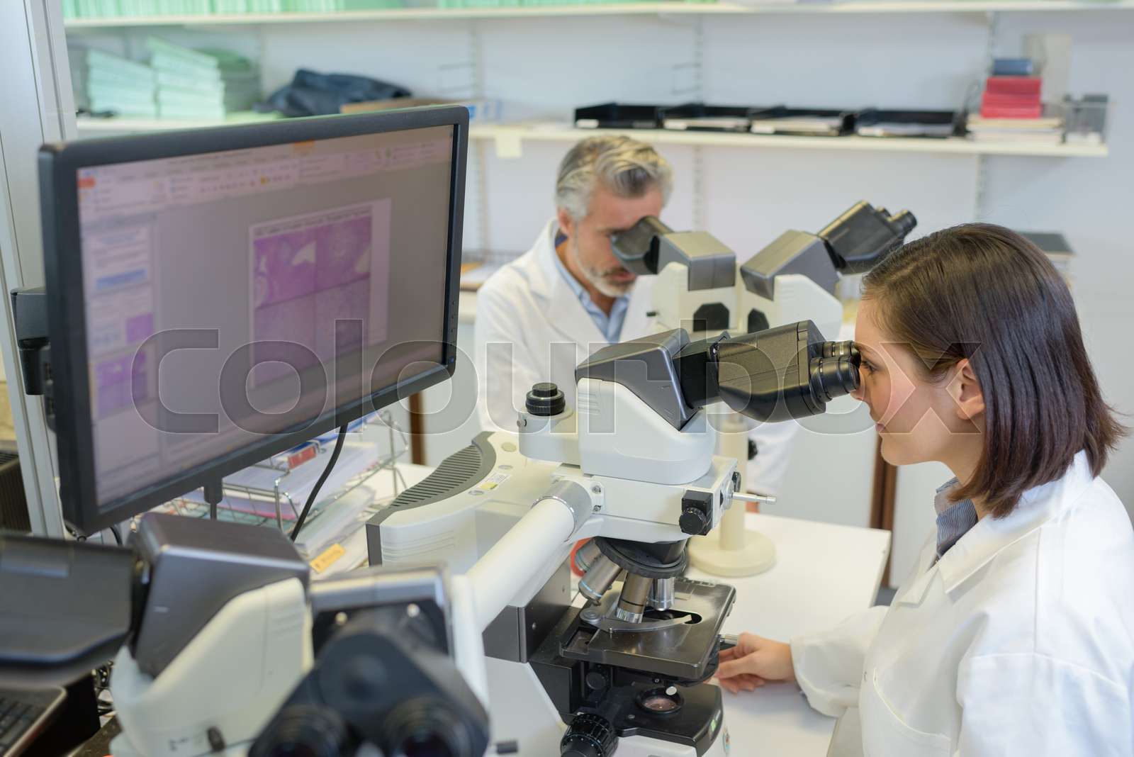 Technicians in laboratory looking into microscopes | Stock image ...