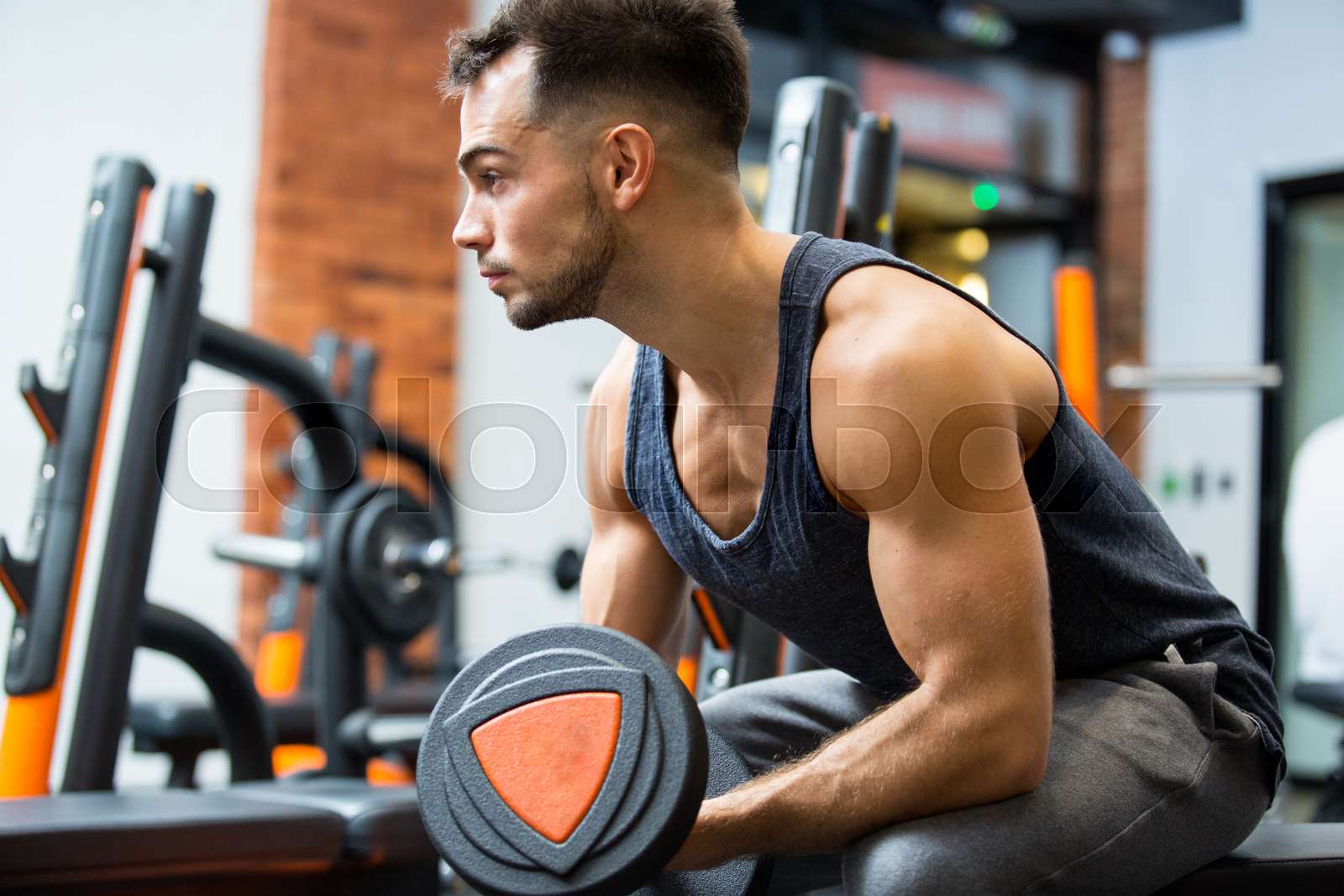 man lifting up dumbell in gym | Stock image | Colourbox